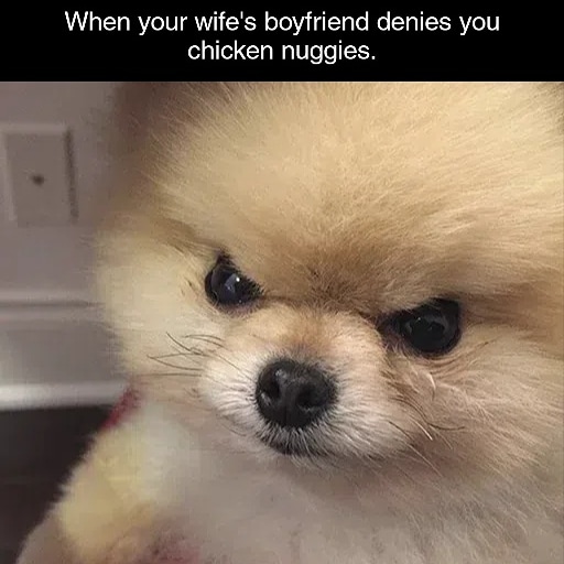 Angry Wife Meme