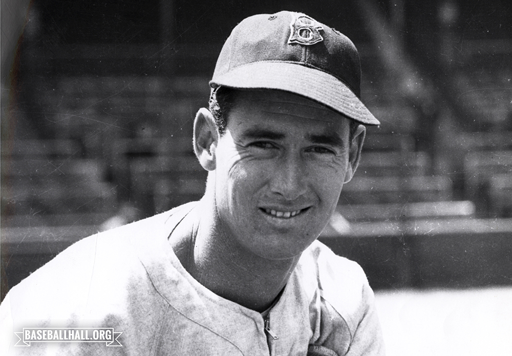 Ted Williams Baseball Player Hall Of Fame