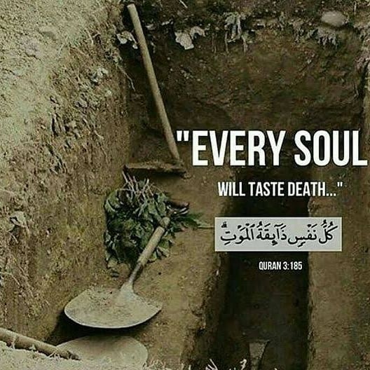 Usman Bodla (@UsmanUmerBodla1) | Twitter