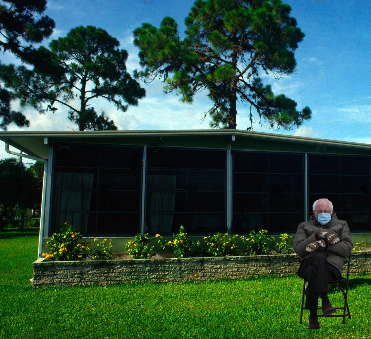 TW Pornstars - Nova Cane. Twitter. Me waiting everytime someone says ...