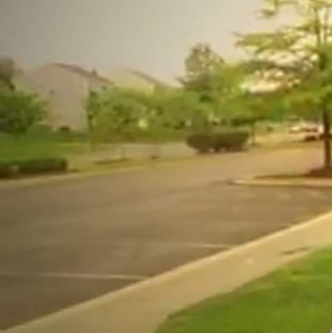 Sonju ♧ (@Sonju_Official) | Twitter