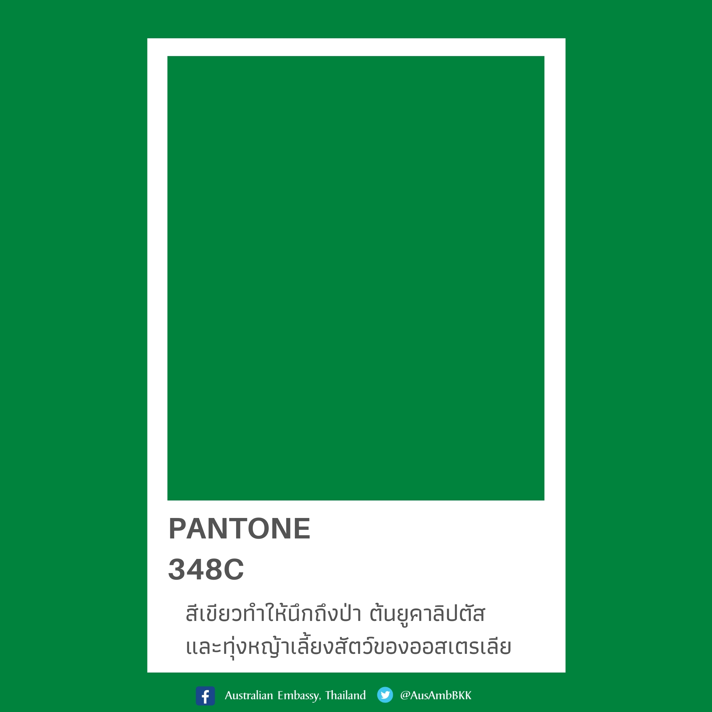 About PANTONE 348 C Color Color Codes, Similar Colors And, 56% OFF About PANTONE 348 C Color Color Codes, Similar Colors And, 56% OFF