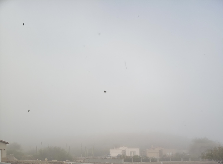 Localized Dense fog lifting into the Tucson Mtns viewed from the office ...