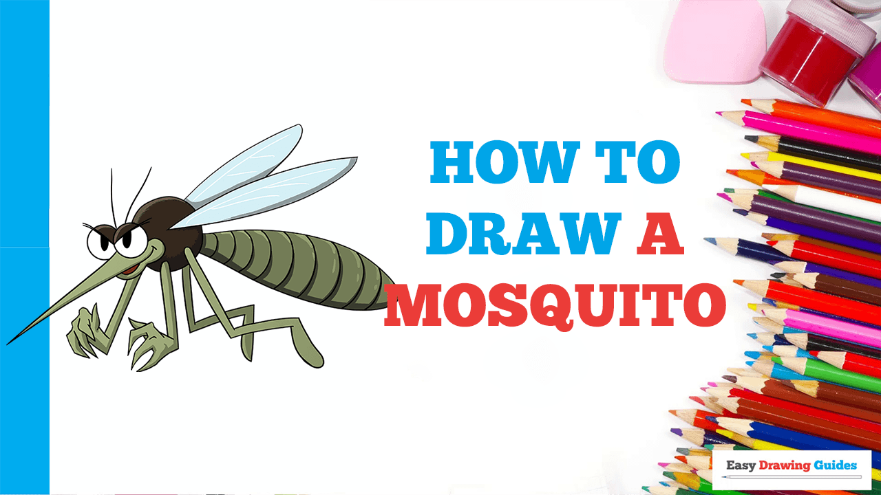 Mosquito Drawing For Kids
