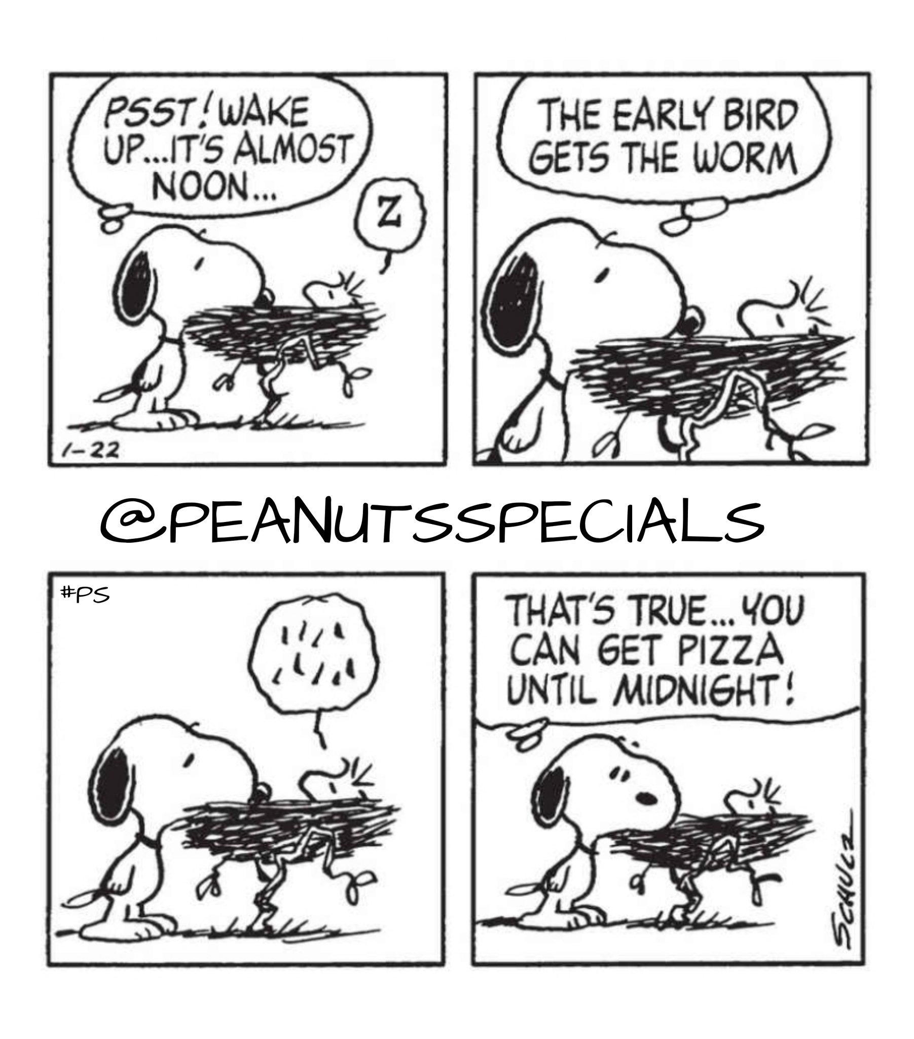 Snoopy Missing Woodstock Why Snoopy Is Such A Controversial Figure To