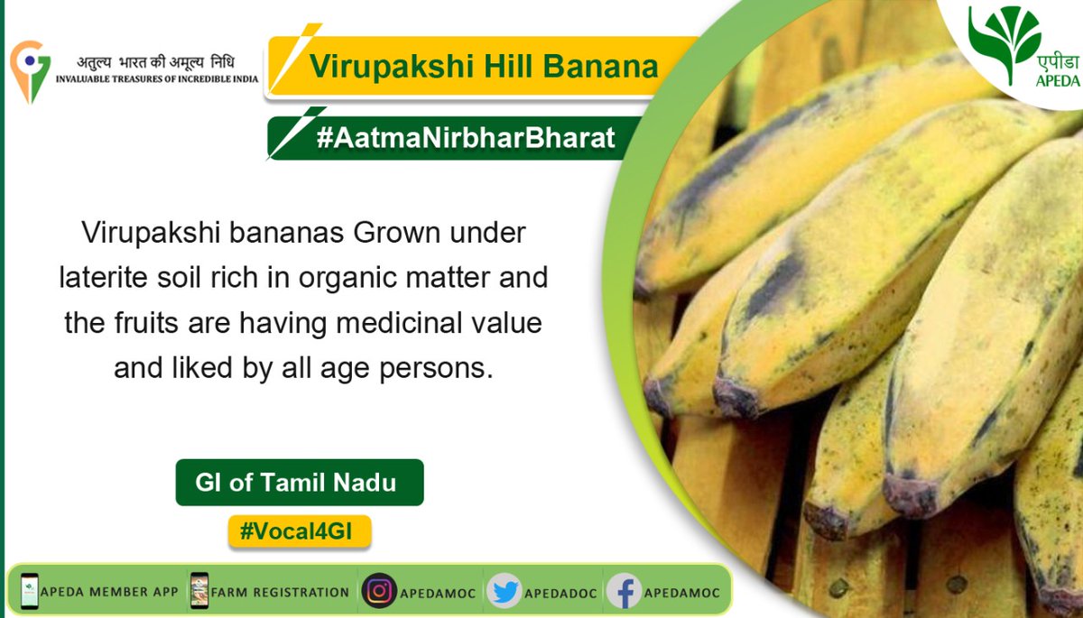 Medicinal Value Of Food - Madinotes