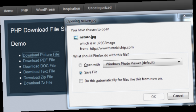 download files script / Twitter