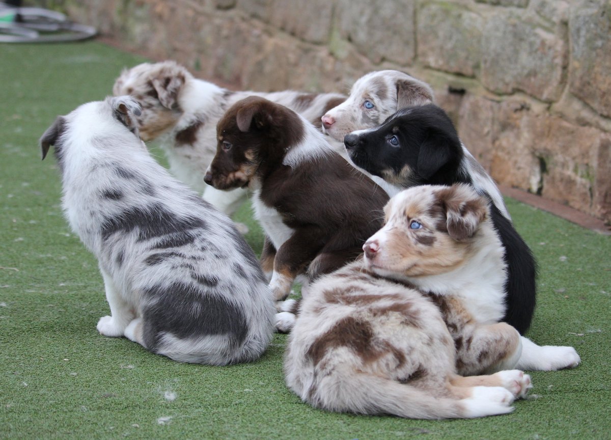 Janet Border's Instagram, Facebook & TikTok on IDCrawl