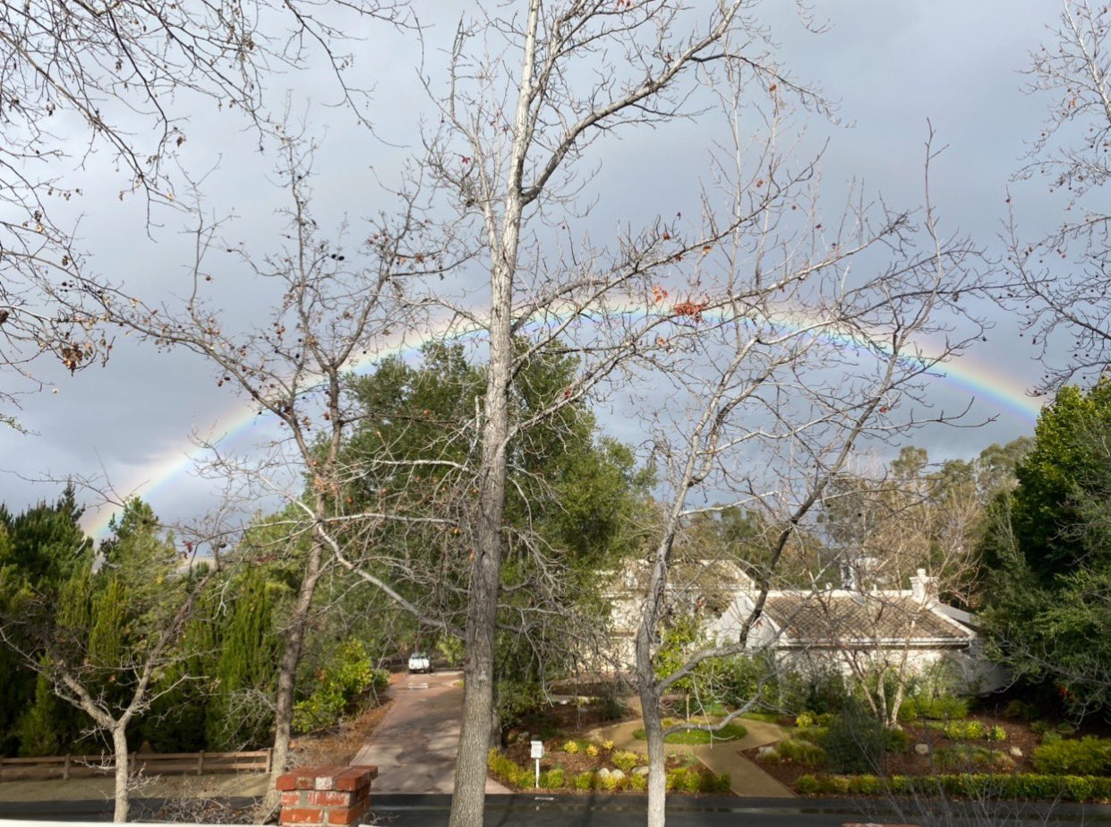 TW Pornstars - Ariel X. Twitter. We got a rainbow today!. 4:57 PM - 30 ...