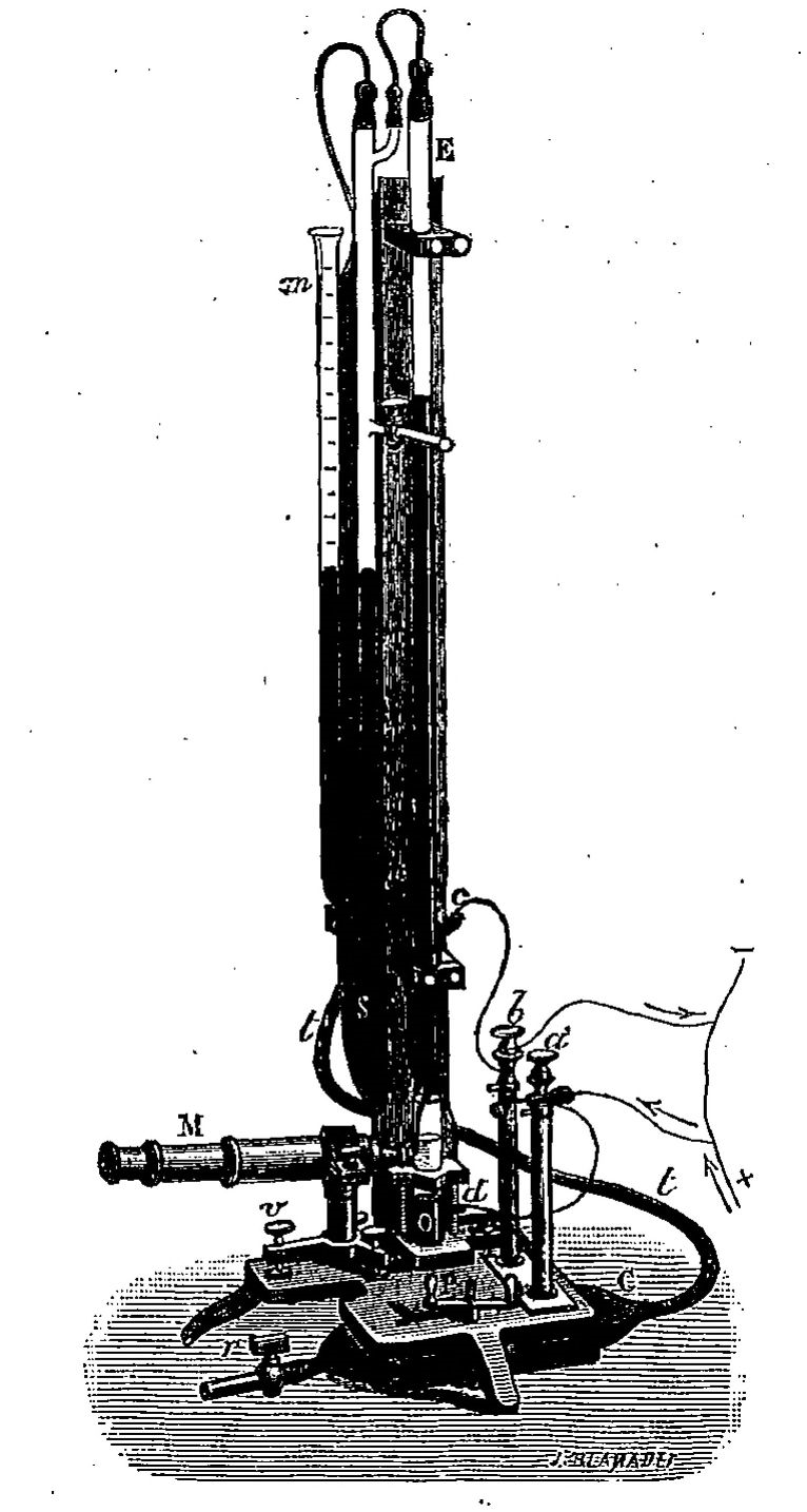 Thomas Morris On Twitter In 1885 Waller r Started To Investigate thomas-morris-on-twitter-in-1885-waller-r-started-to-investigate