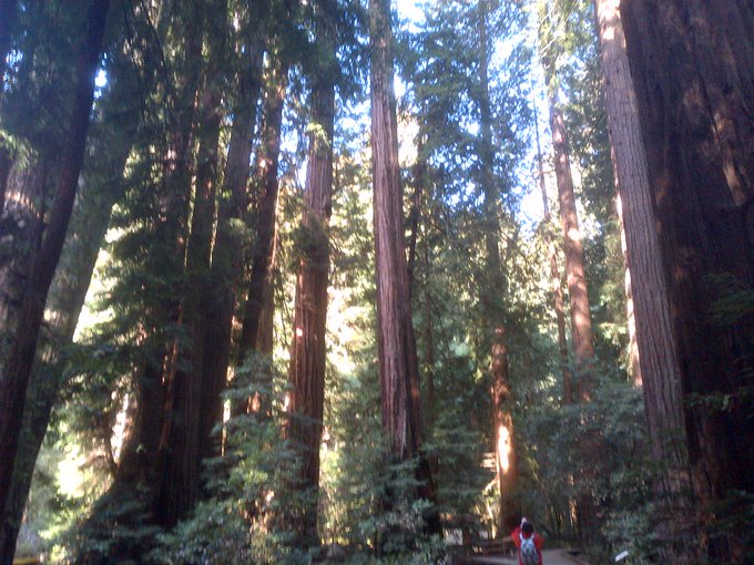 TW Pornstars - Submissann. The most liked pictures and videos from ...