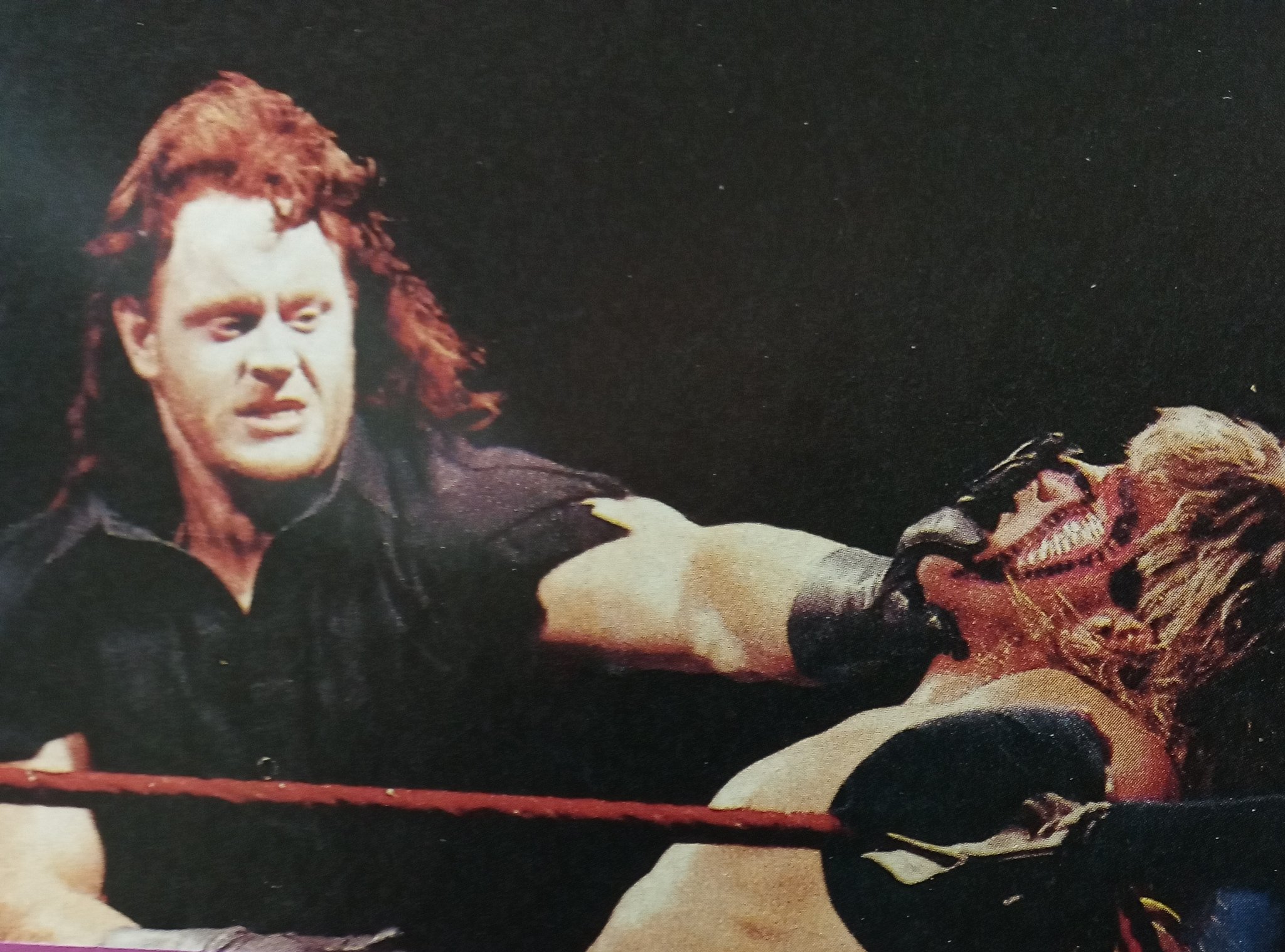 Ultimate Warrior Vs Undertaker