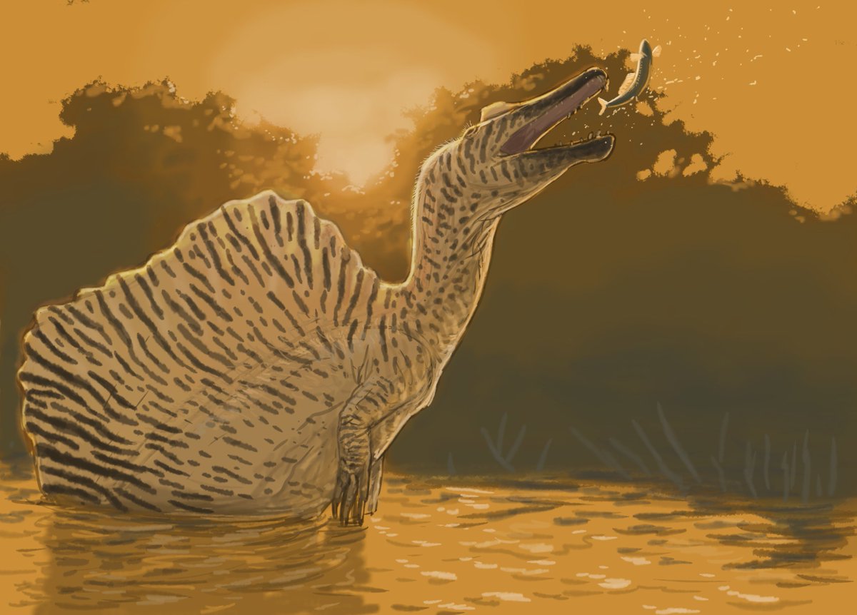 Twoucan - Joschua Knüppe (@JoschuaKnuppe)