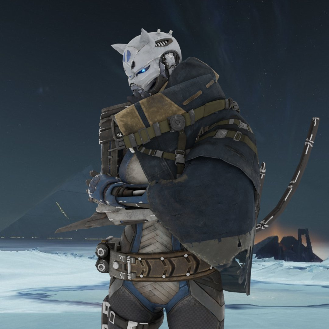 "Elsie Cat Girl" enviado por: Anima > Comunidad | Bungie.net