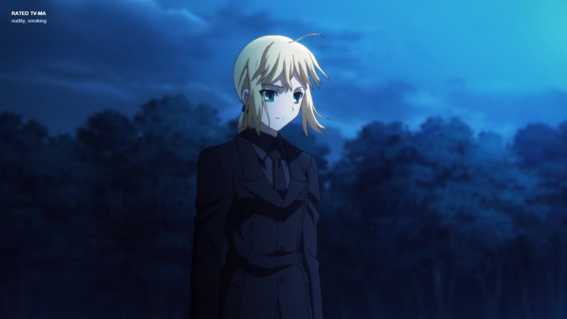 Fate Zero Saber Suit