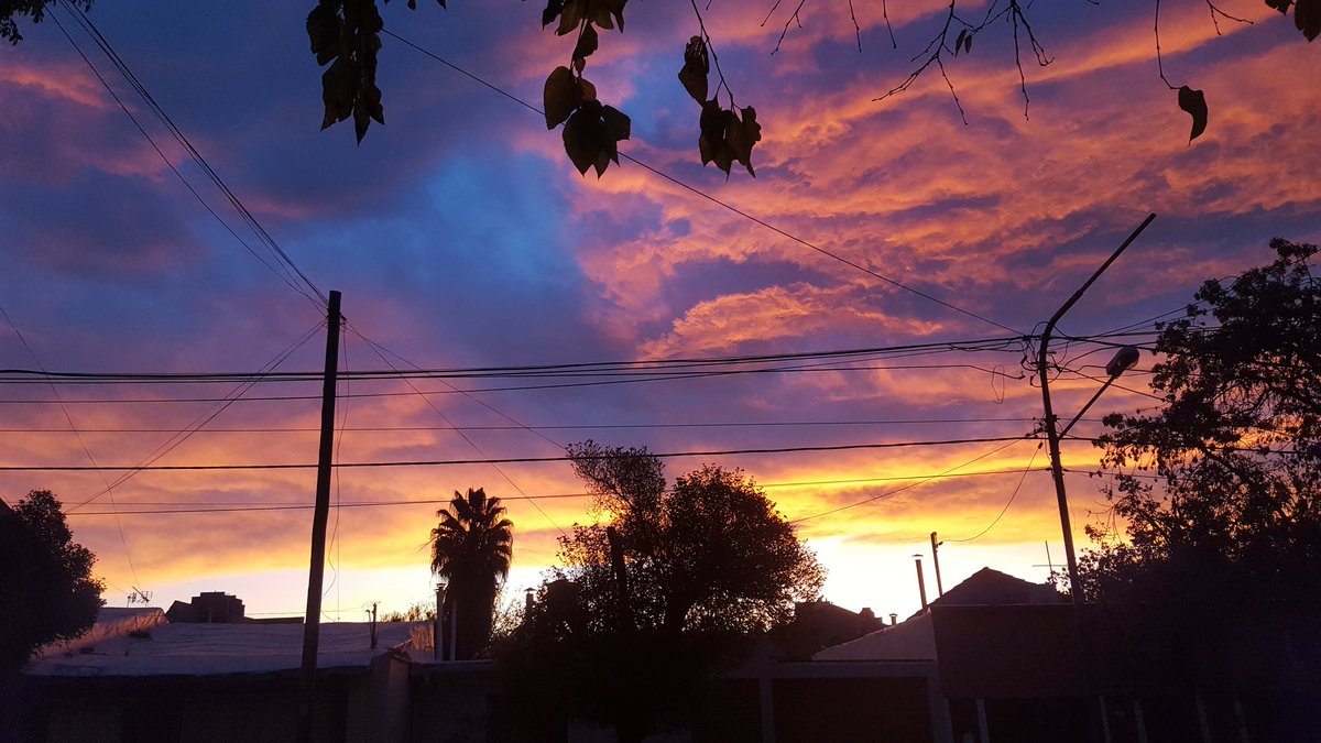 「i just think we have the prettiest sky e」|jaze 💫🌿のイラスト