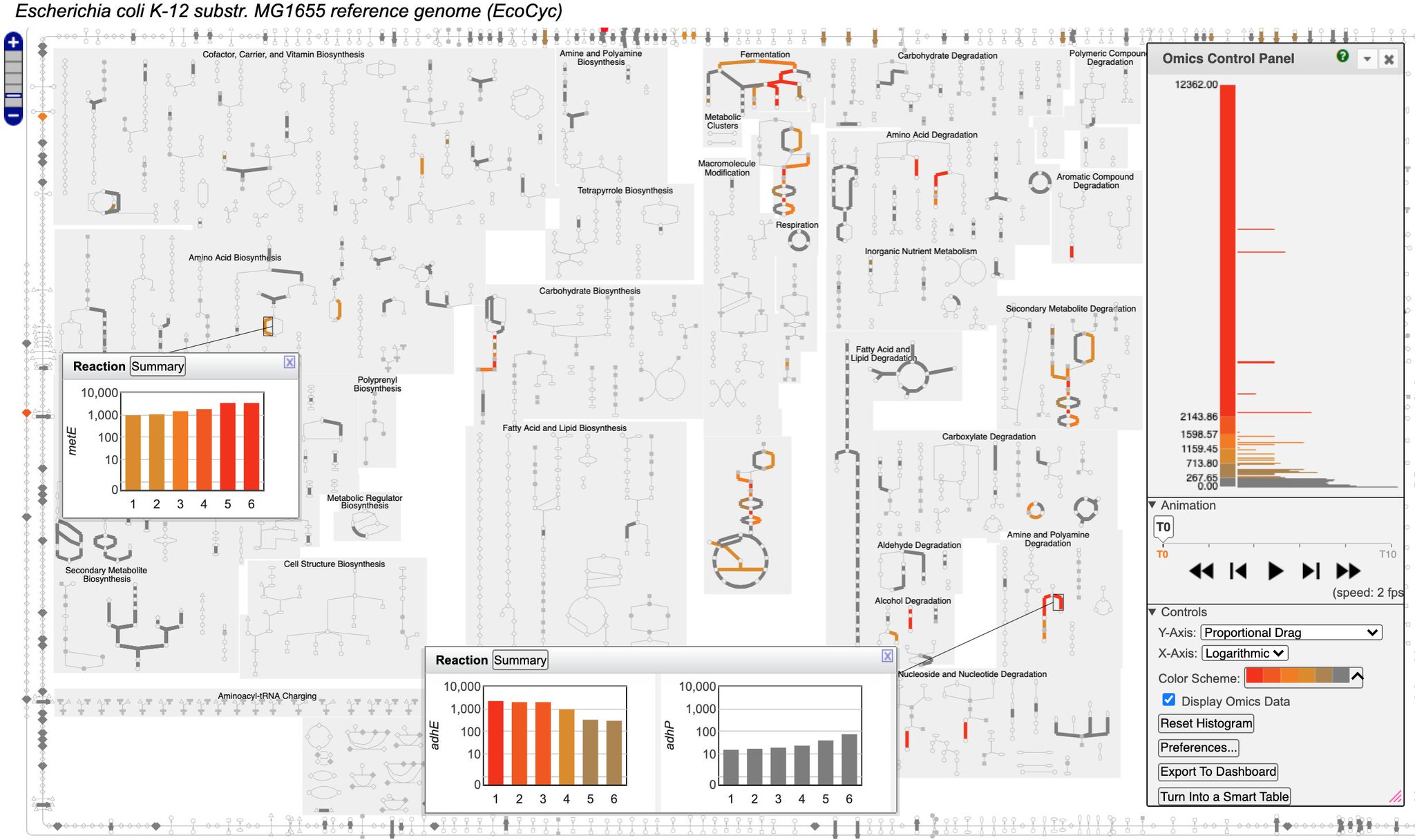 Biocycandpathway Tools On Twitter Pathway Tools Visualization Of