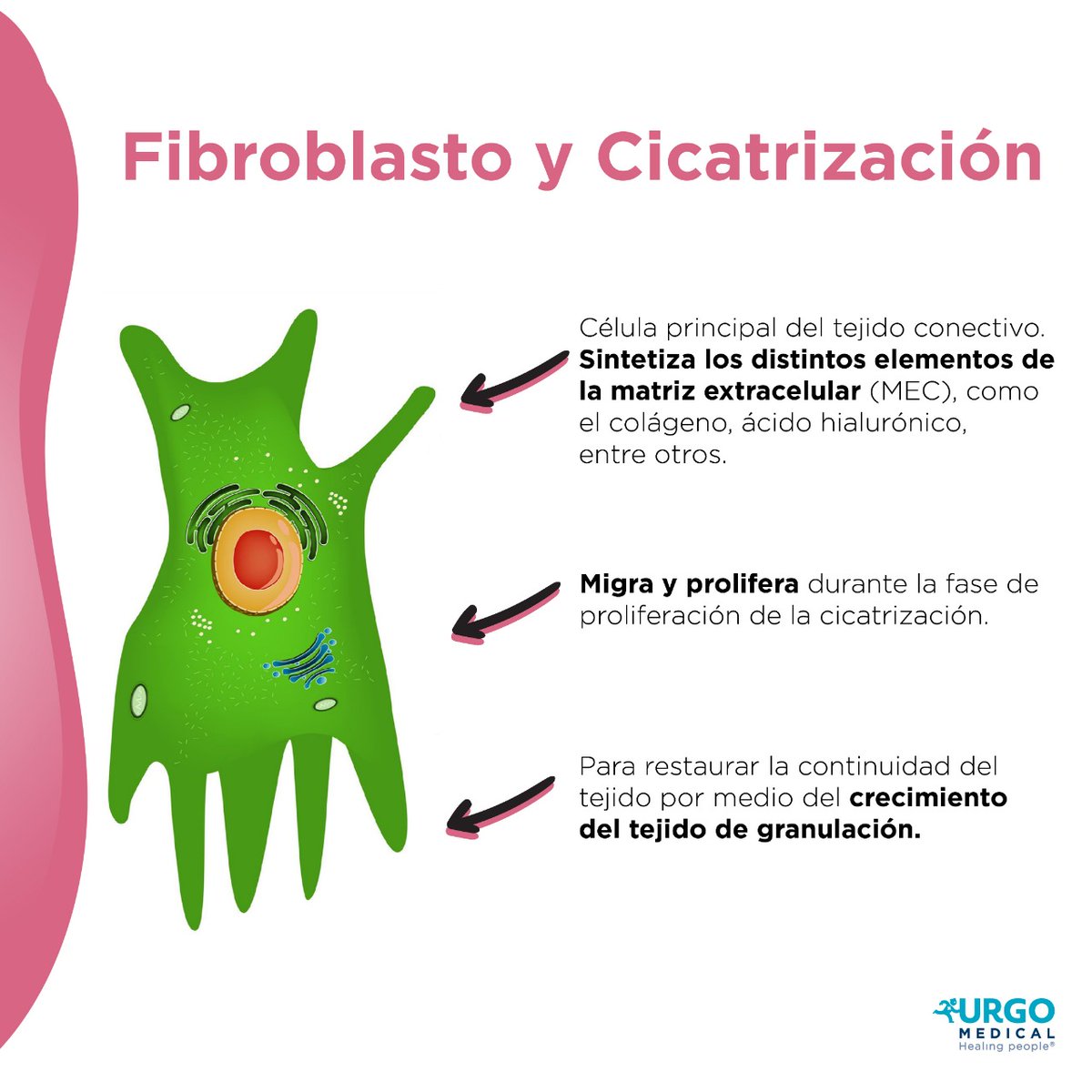 ULCERAS.NET on Twitter: ULCERAS.NET on Twitter: