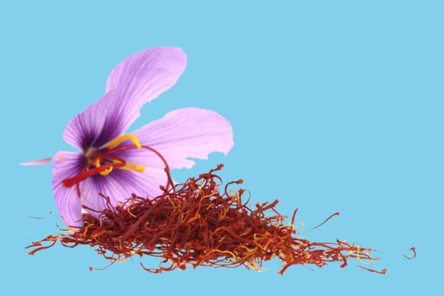Kesar / Saffron : An Must Ayurvedic herbal supplement for daily life ...