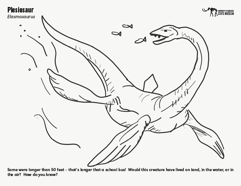 Elasmosaurus Coloring Page