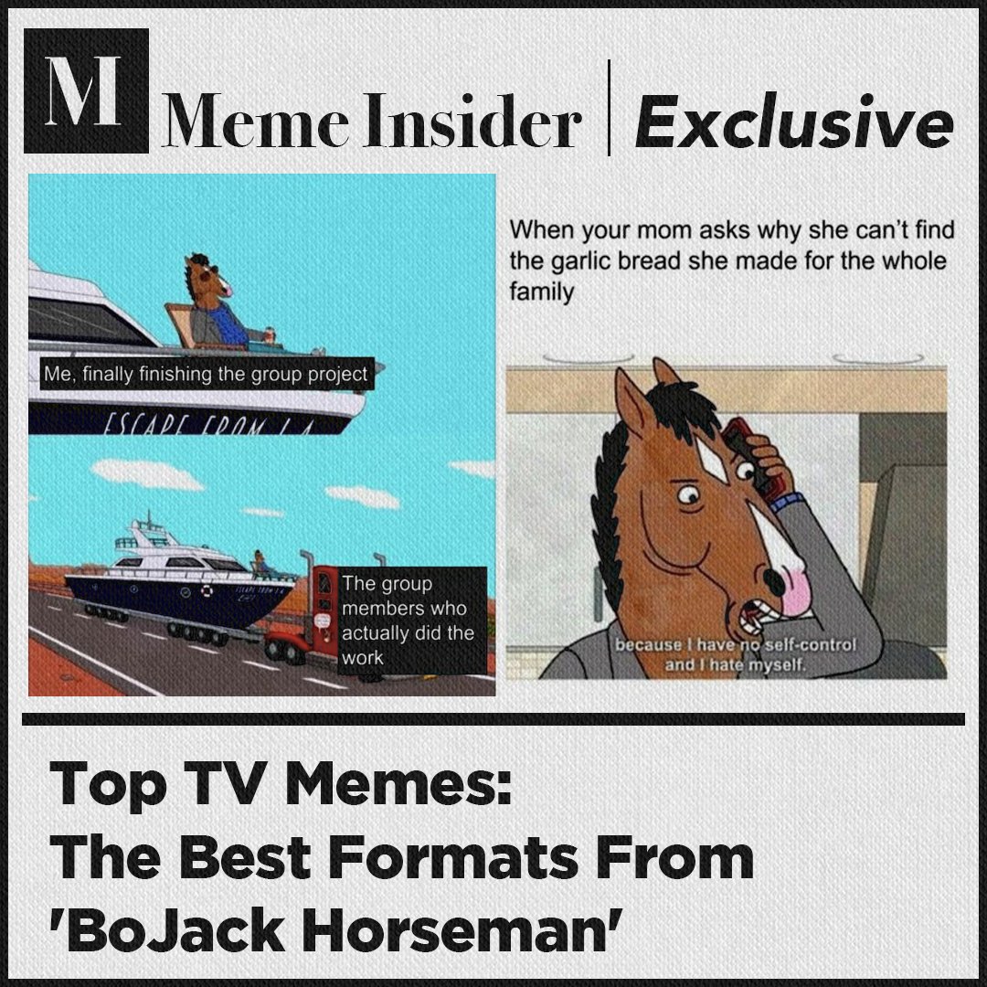 Bojack Horseman Memes