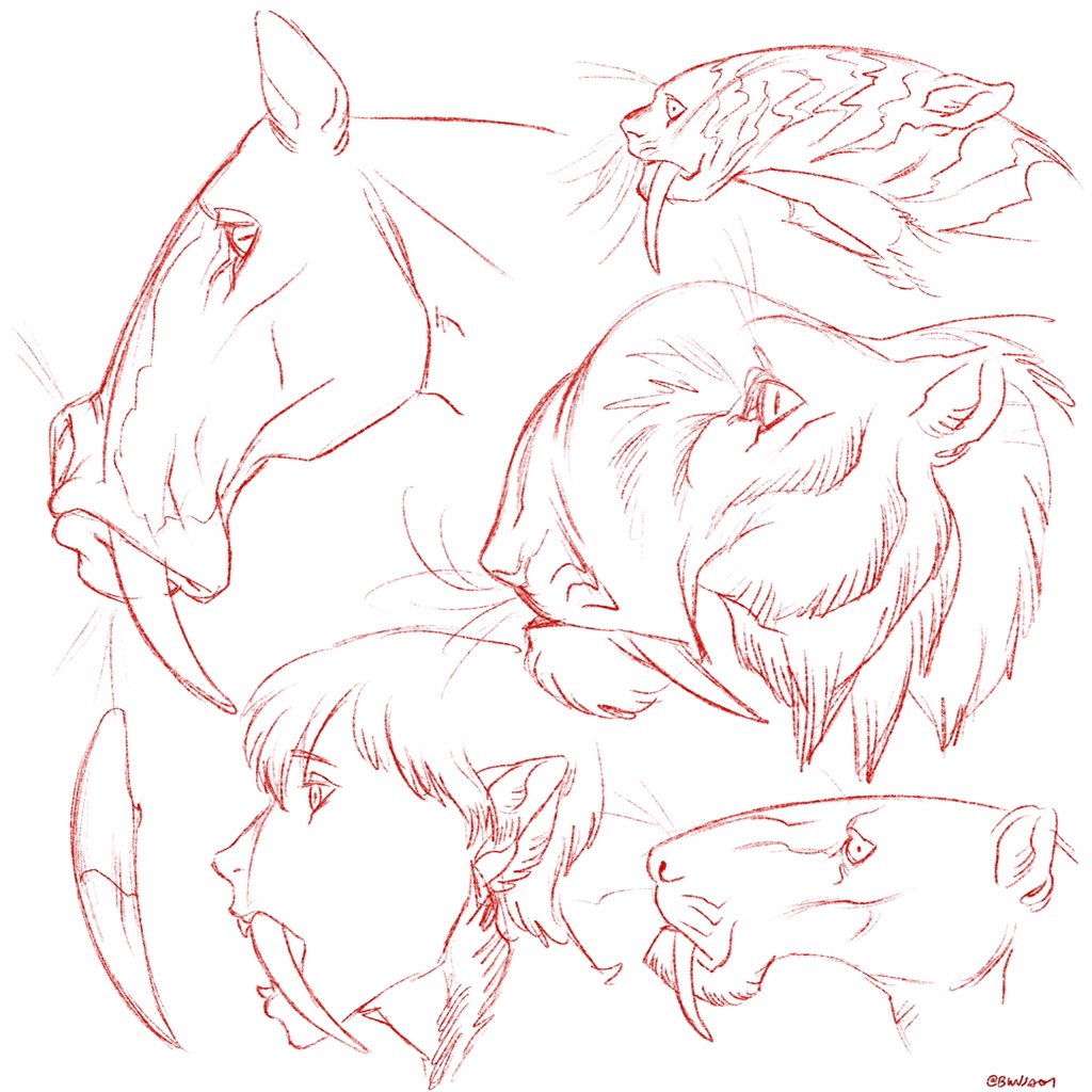 Twoucan - RIKA (@bwusagi)