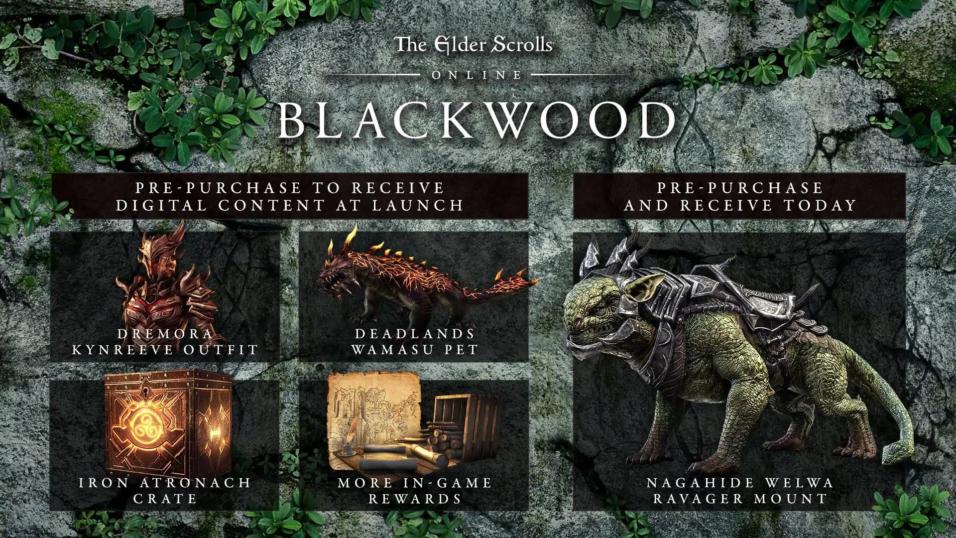 Elder Scrolls Online Dremora