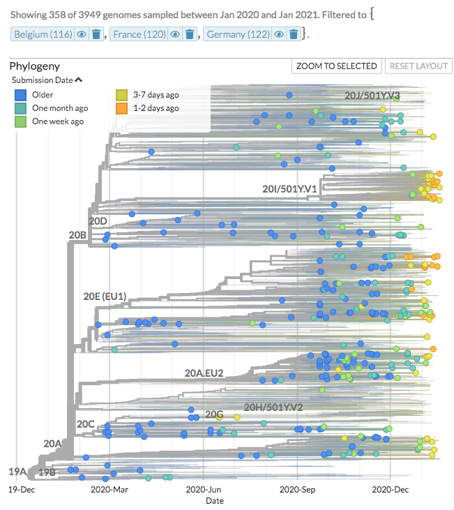 Nextstrain on Twitter: "You can find the new sequences from India (2), Japan (49), Singapore (15 ...
