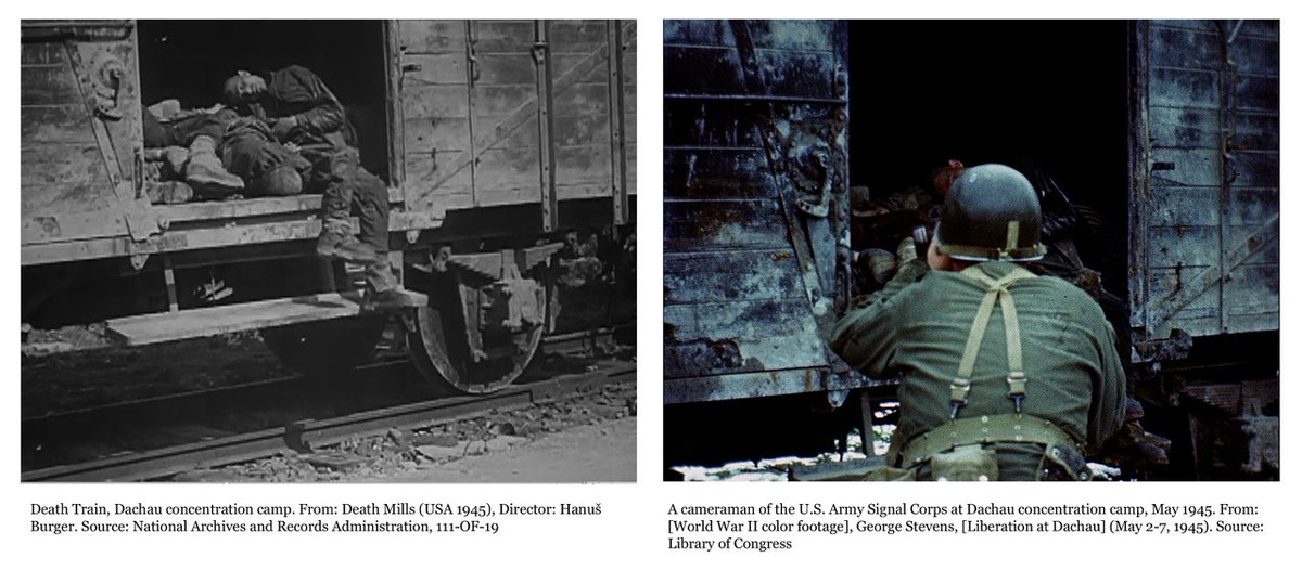 Concentration Camp Color