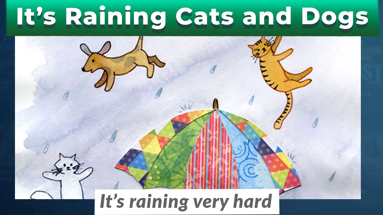 Where Does The Idiom Raining Cats And Dogs Come From