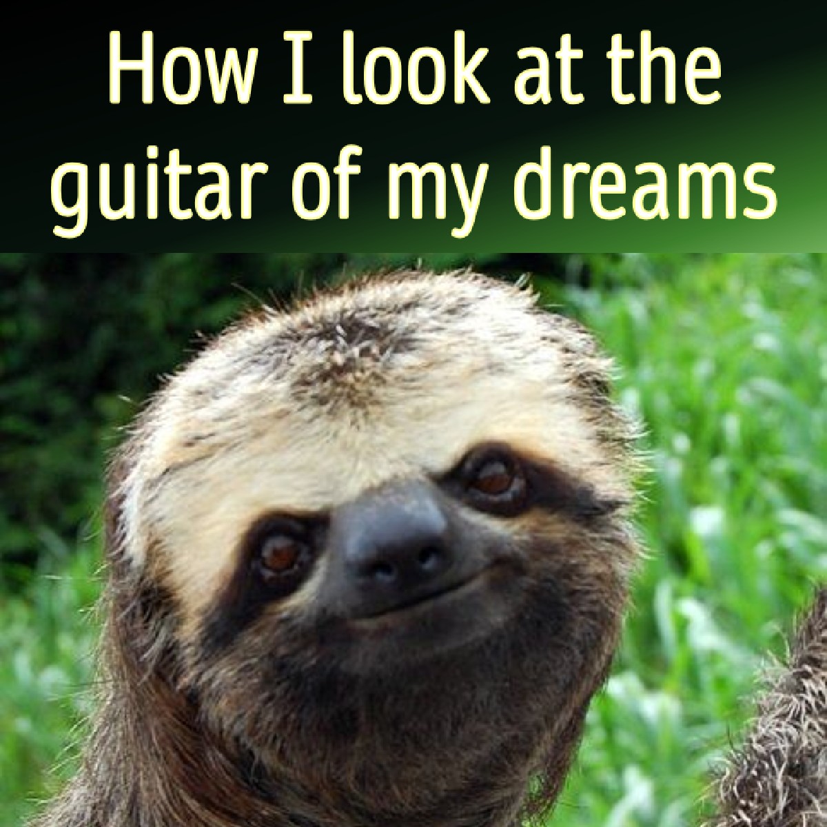 Rap Sloth Memes HAPPY BIRTHDAY JERMAINE! SLOTH HAPPY BIRTHDAY RAP