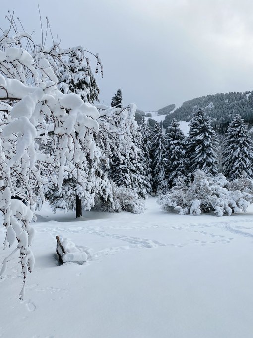 TW Pornstars - Vivienne Cole. The most liked pictures and videos from ...