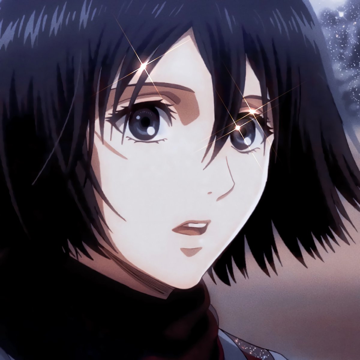 Mikasa