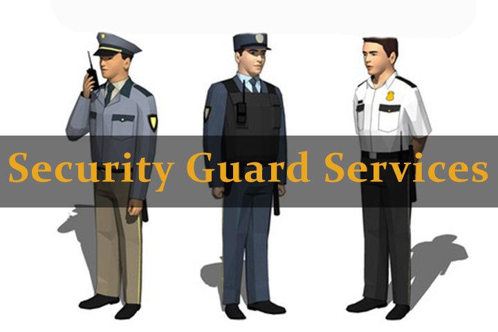 Saviour Security Services (@ServicesSaviour) | Twitter
