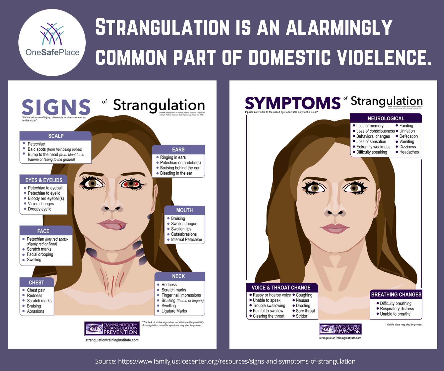 Strangulation Domestic Violence
