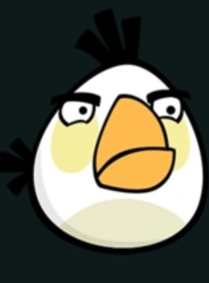 Angry Birds Characters Blue