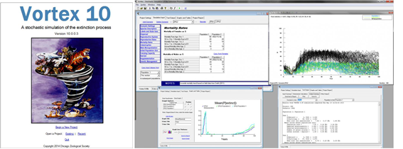Rafael Moreno's Threads – Thread Reader App