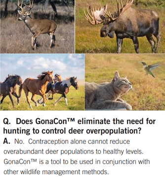 Thread by @Rafael_MorenoA on Thread Reader App – Thread Reader App