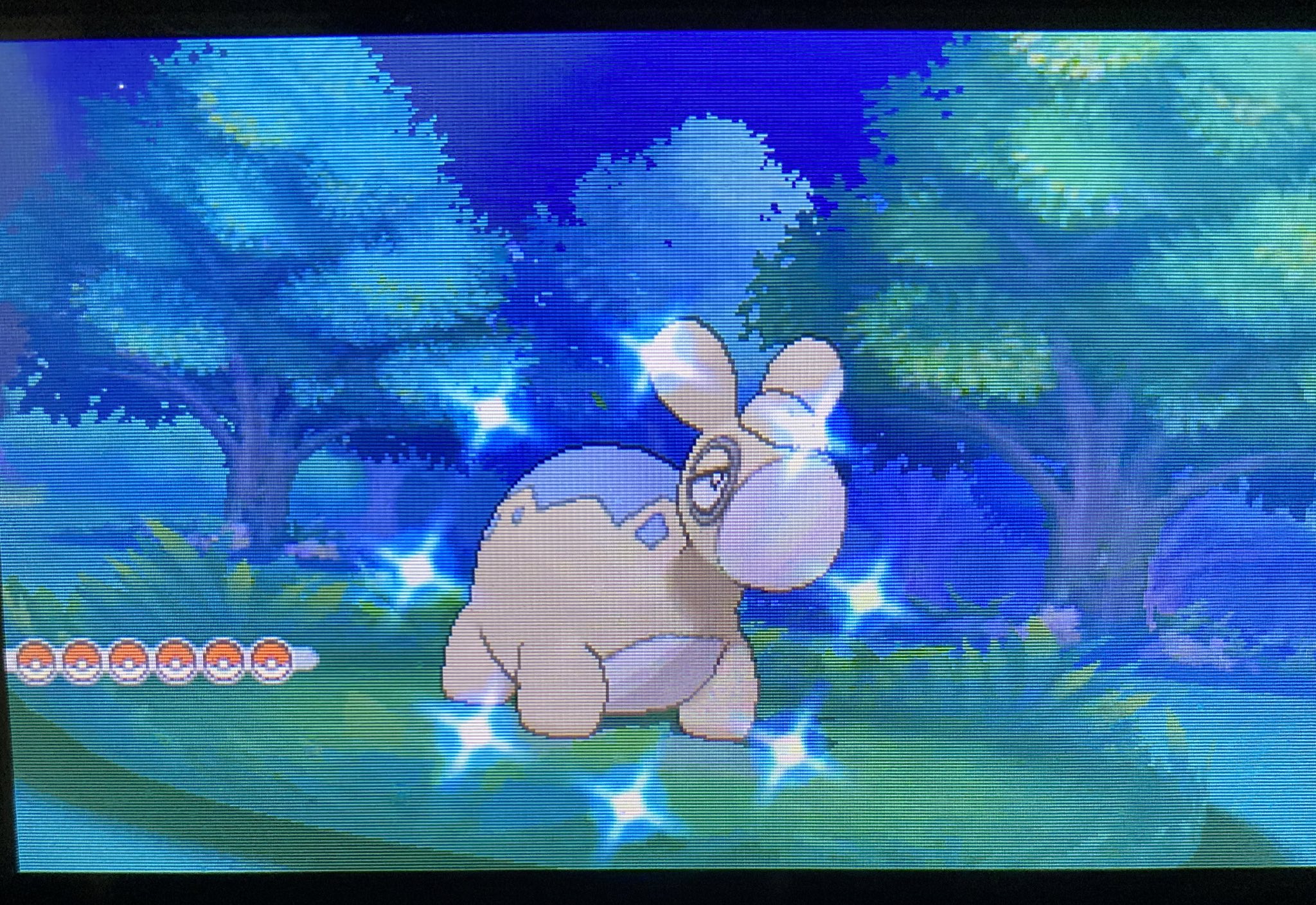 Pokemon Shiny Numel