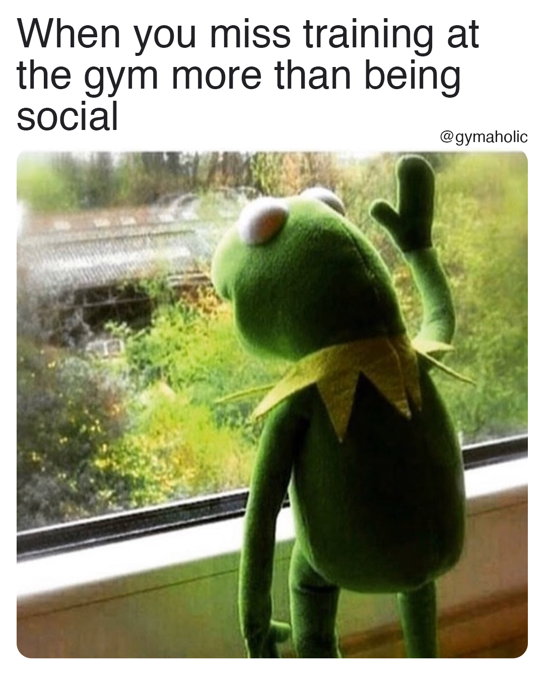 Gym Kermit Memes