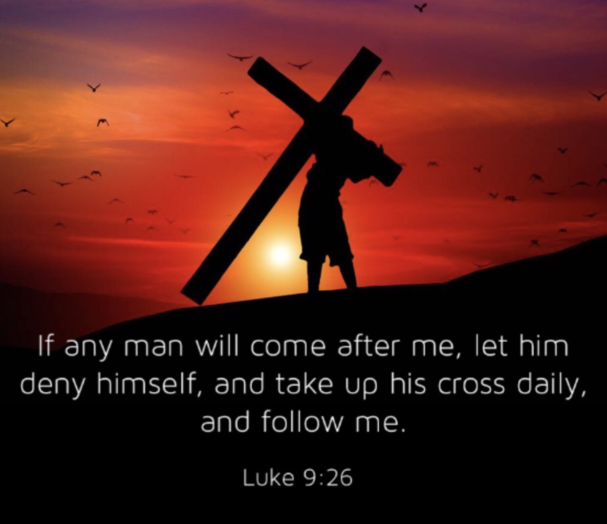 Take Up Your Cross Daily