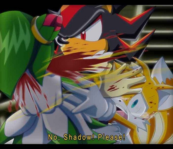 Shadow The Hedgehog And Rarity