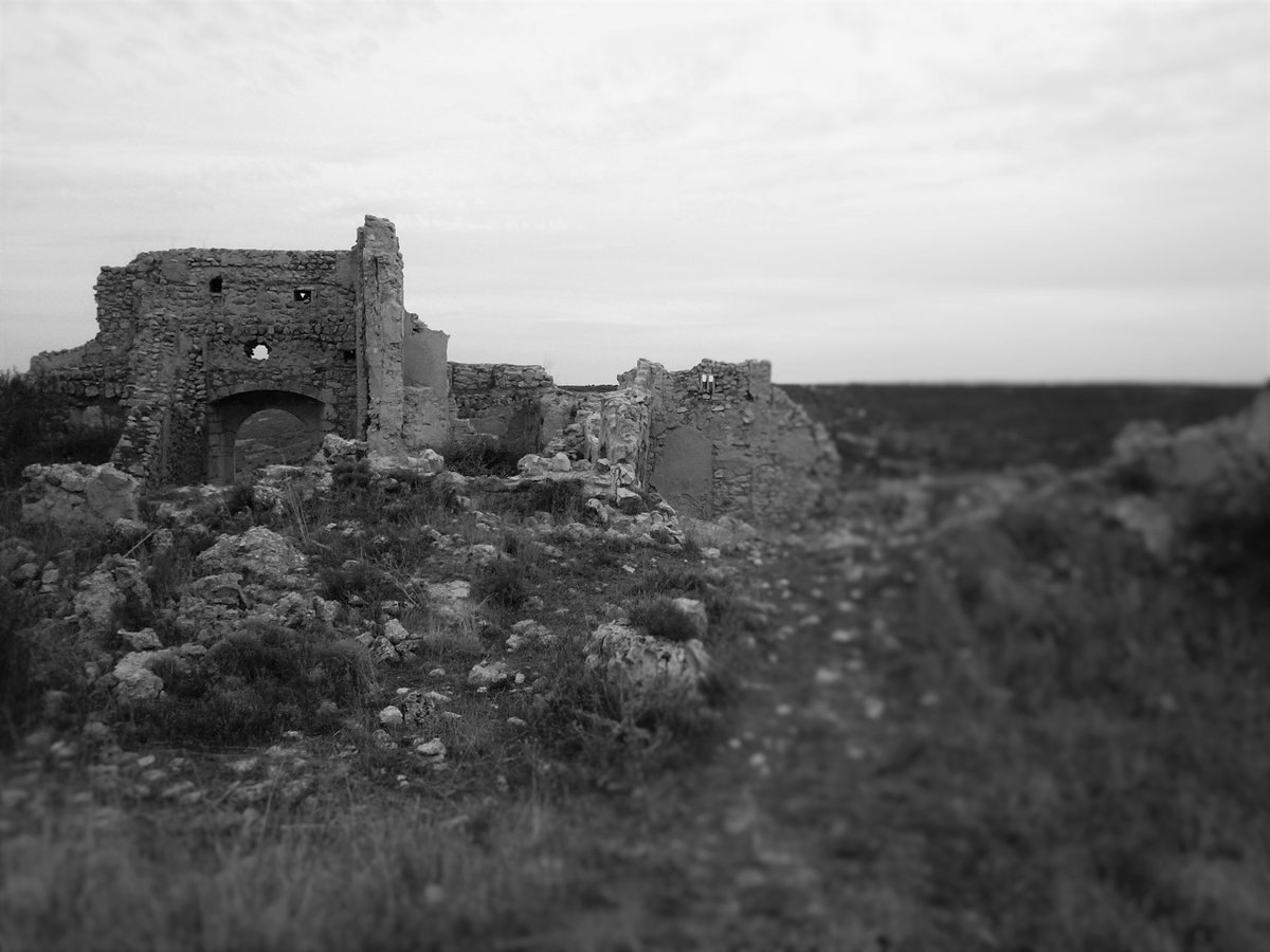 Rodri🌾's Threads – Thread Reader App