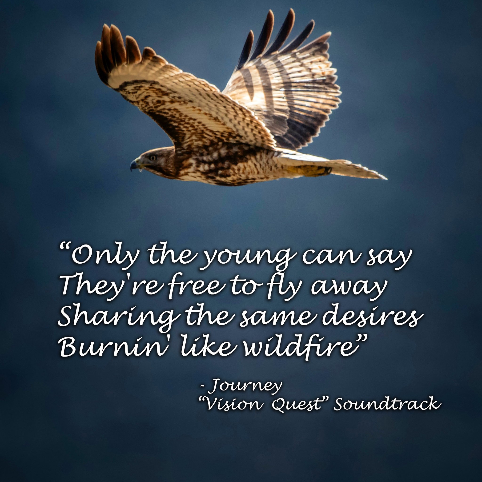 Louden Swain Vision Quest