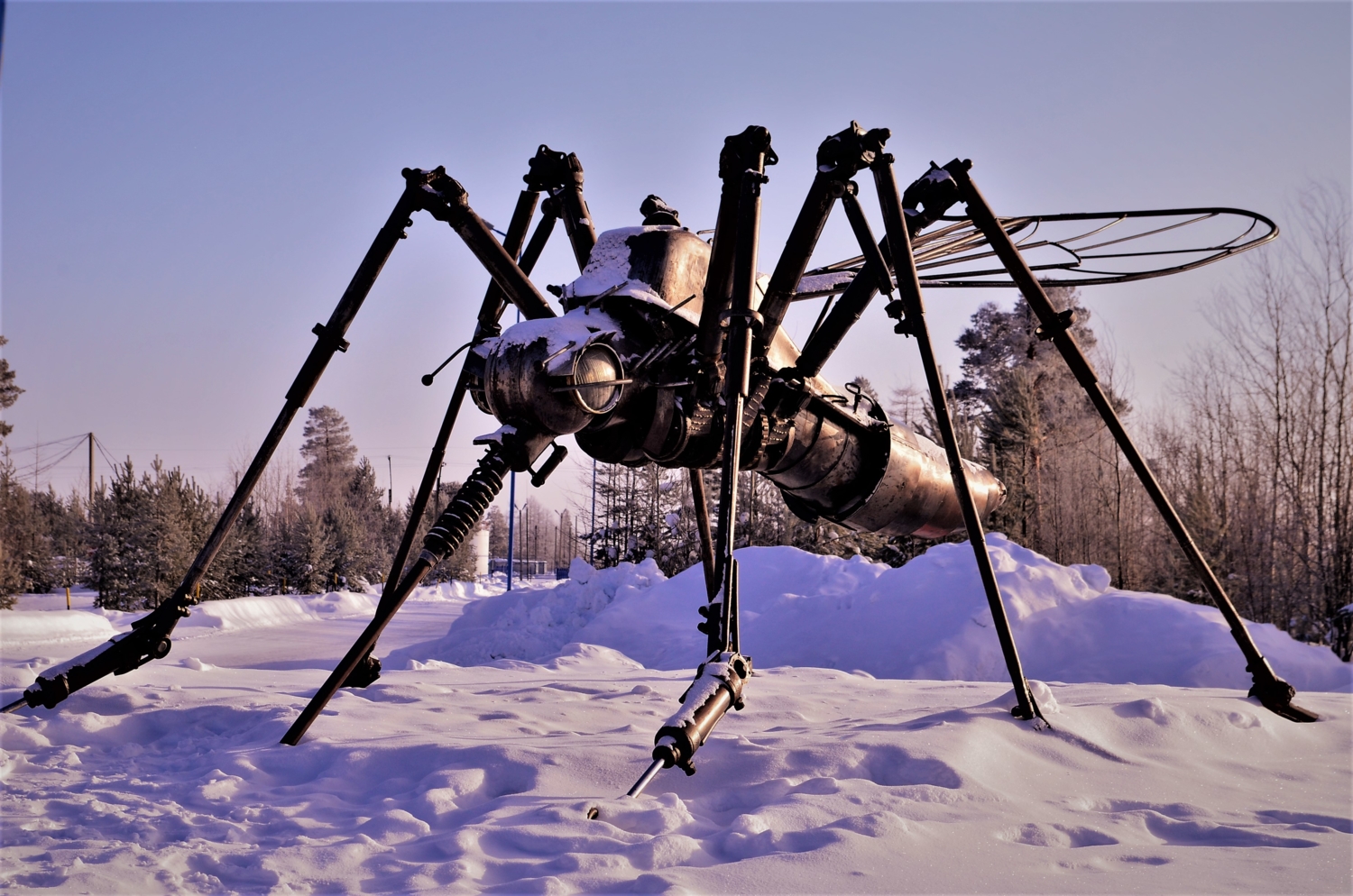 Snow Mosquito
