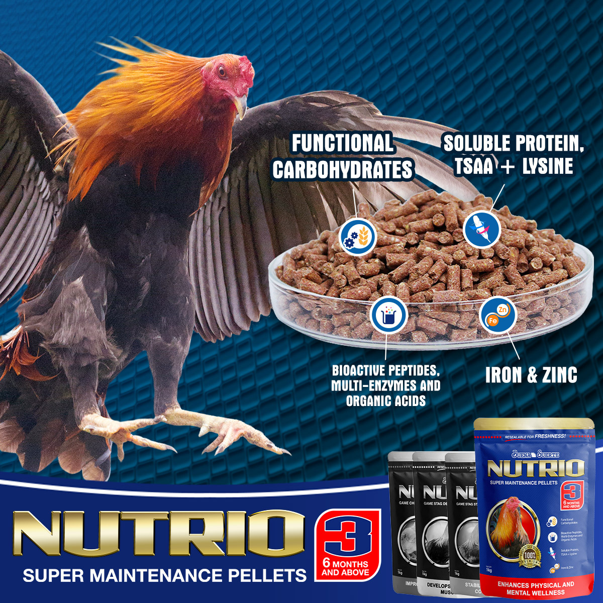 Manok Panabong Conditioning