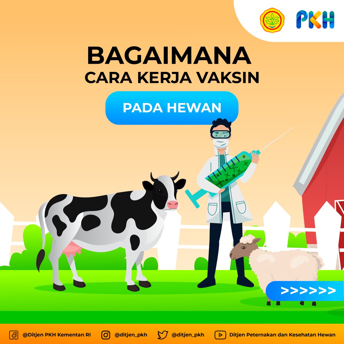 Ditjen Peternakan Dan Keswan On X: Inseminasi Buatan, 48% OFF Ditjen Peternakan Dan Keswan On X: Inseminasi Buatan, 48% OFF