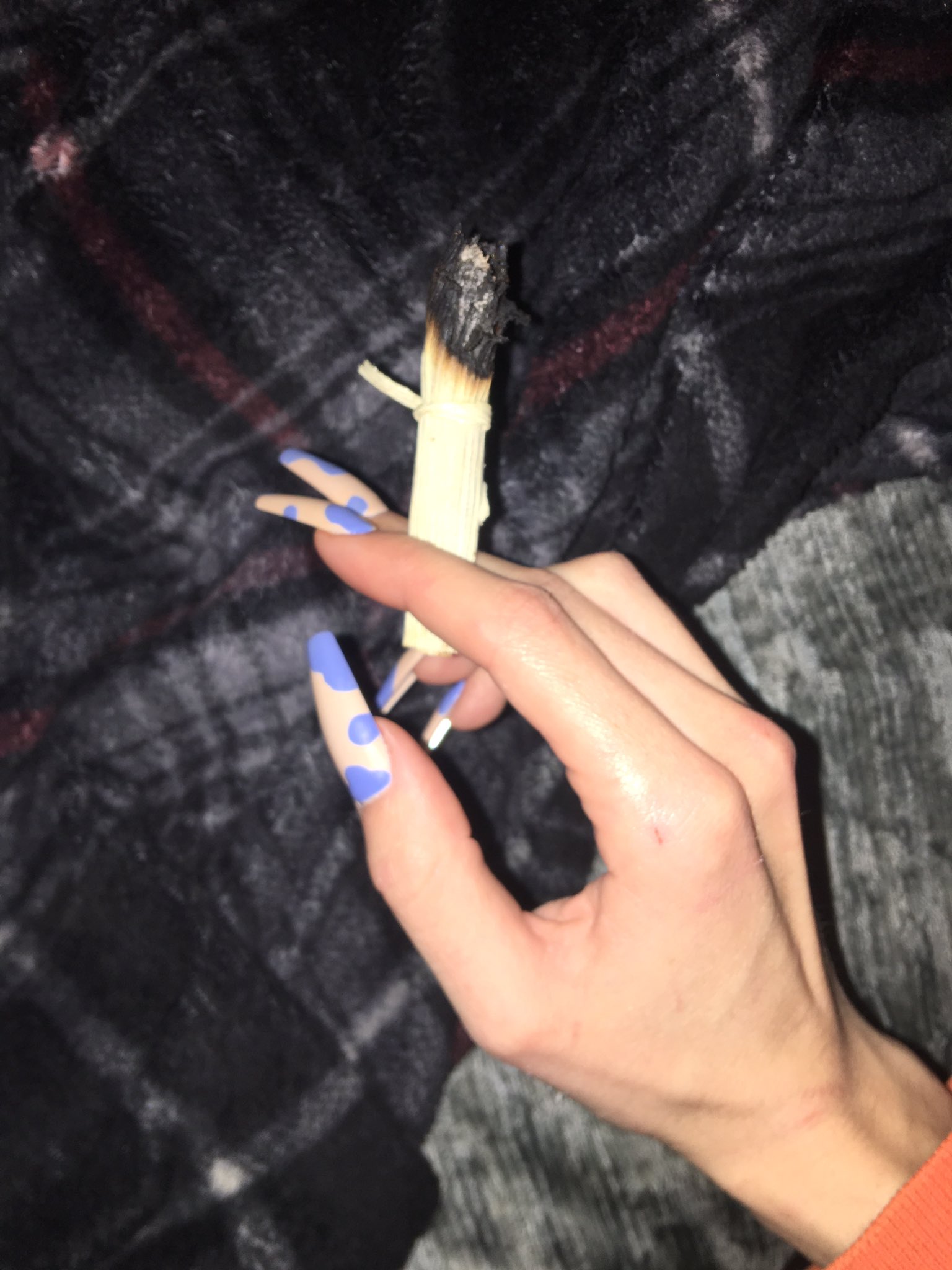 A Rolled Blunt Tumblr