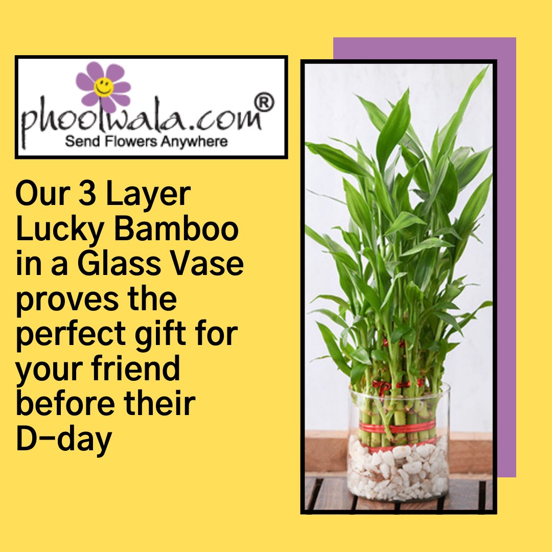 phoolwala (@phoolwala) | Twitter