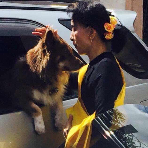 Ba Nyar Ha (@banyarha) | Twitter